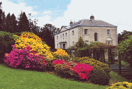 Avondale House And Forest Park Home Of Parnell