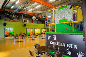 DOME Family Entertainment Centre and Party Venue Carlow