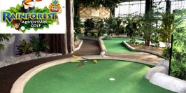 Rainforest Adventure Golf | Indoor Mini Golf Dublin