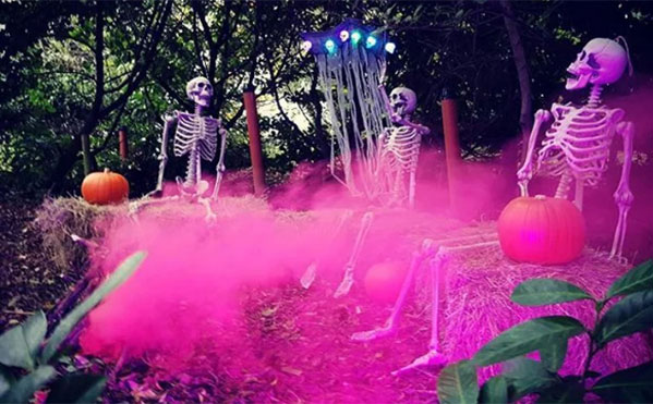 Clonfert Pet Farm in Kildare / Family Fun Event