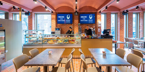 International Rugby Experience - Family Fun